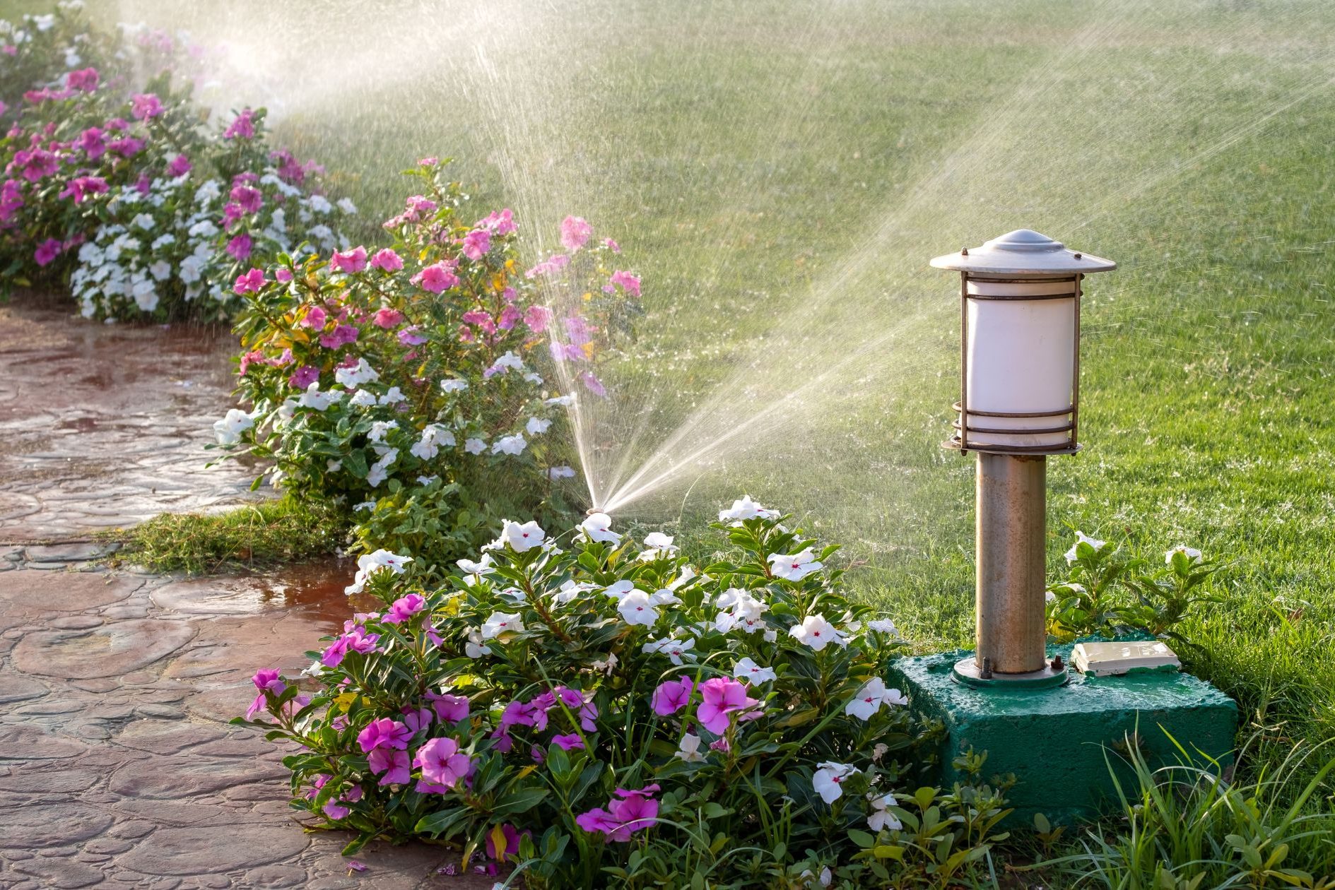 Weekly Watering Recommendations from Aggieland Green