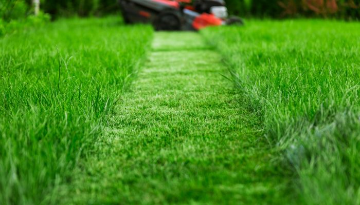 Texas Mowing Tips to Avoid Lawn Stress | Aggieland Green