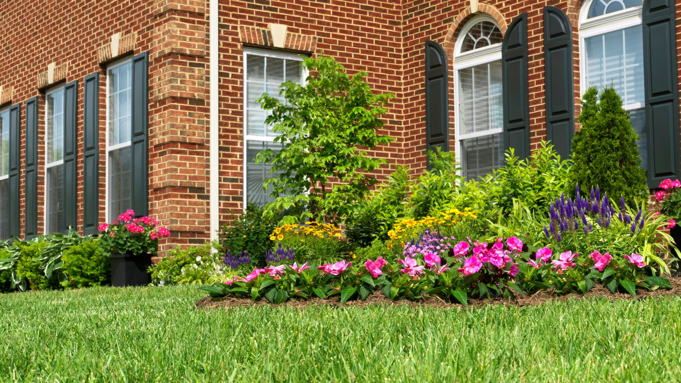 Weekly Watering Recommendations, Feb 16 | Aggieland Green
