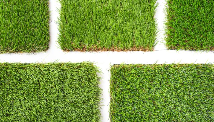 Top Types of Grass in Houston & College Station | Aggieland Green
