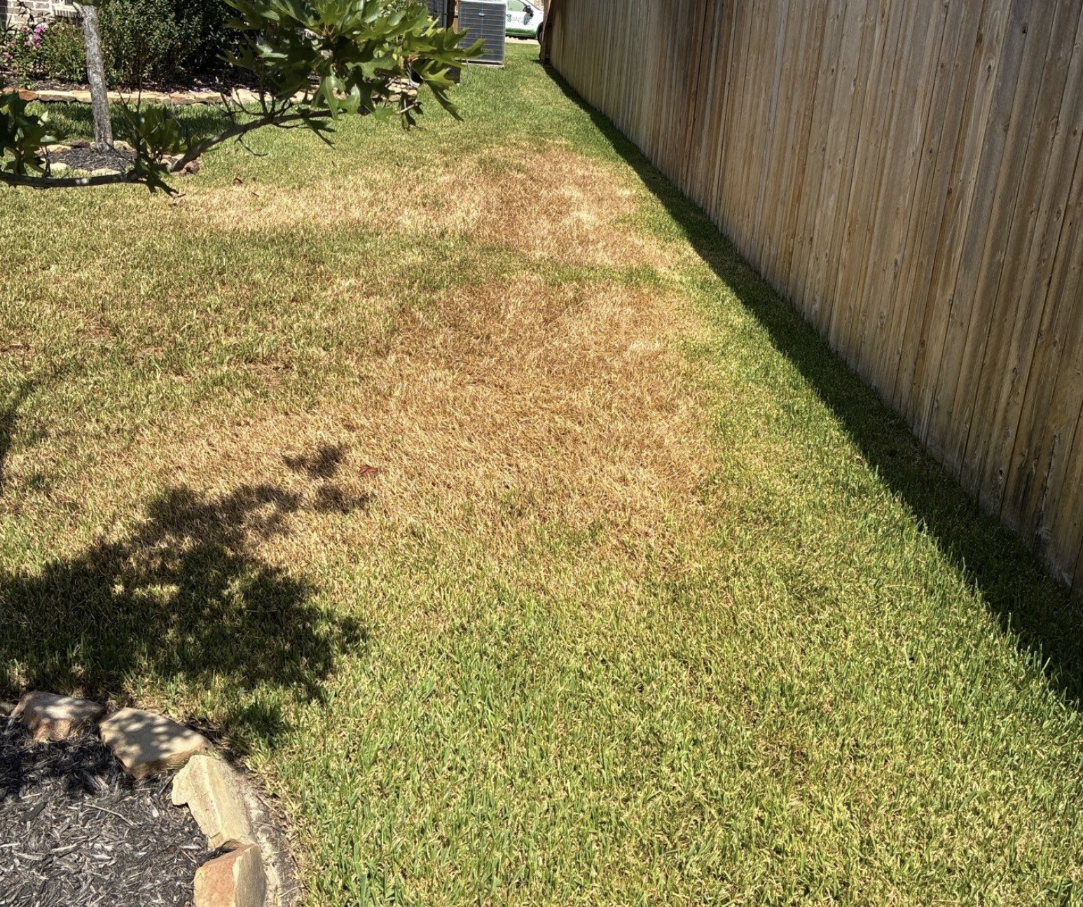 Heat Stress on Texas Lawns | Aggieland Green
